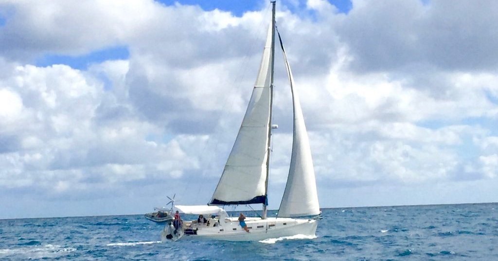 Wellness on the Sea - Plant-Based Sailing Trips