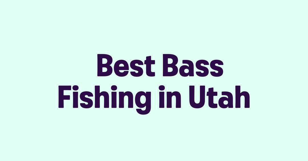Best Bass Fishing in Utah