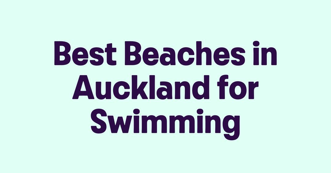 Best Beaches in Auckland for Swimming