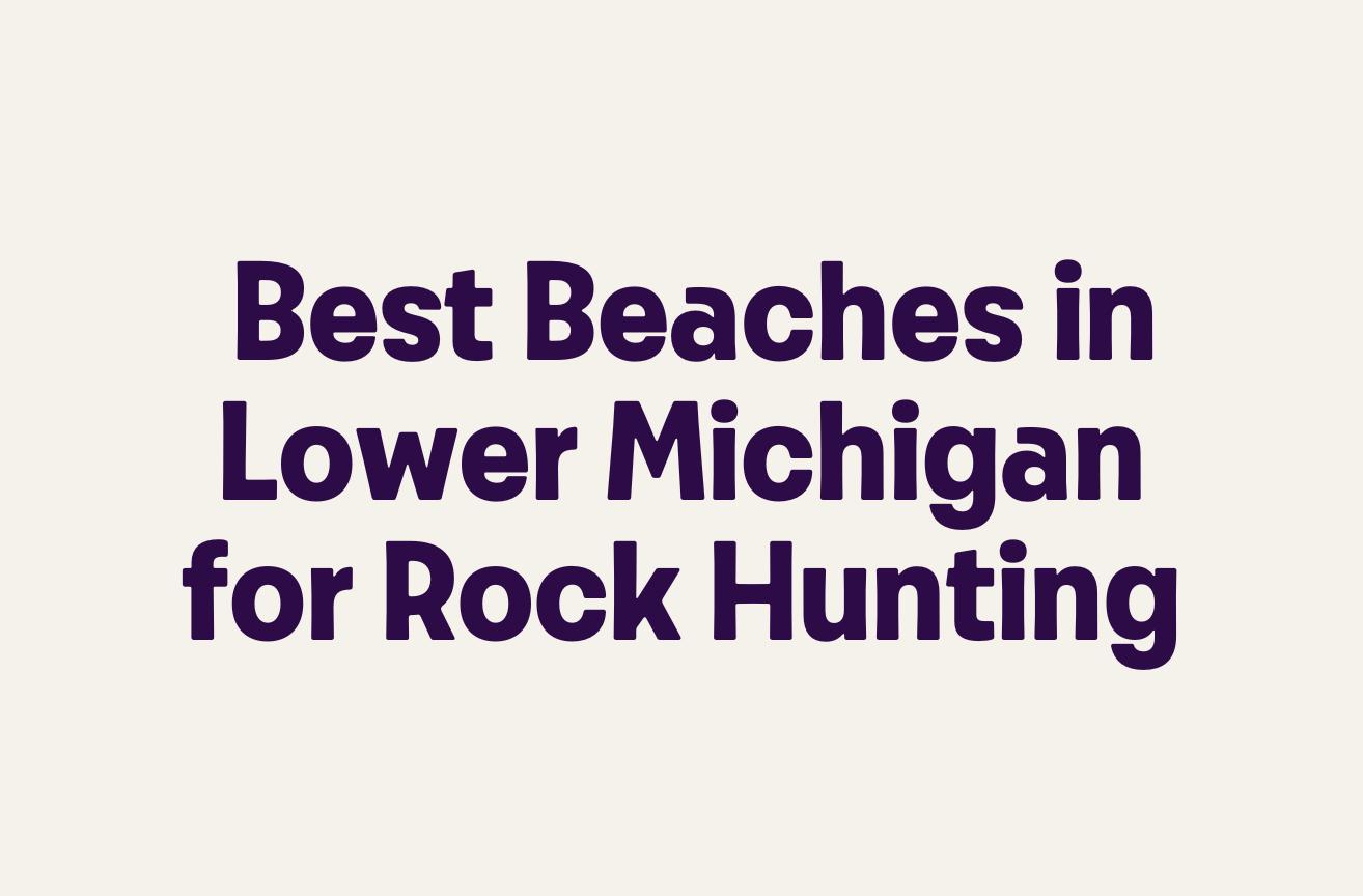 Best Beaches in Lower Michigan for Rock Hunting