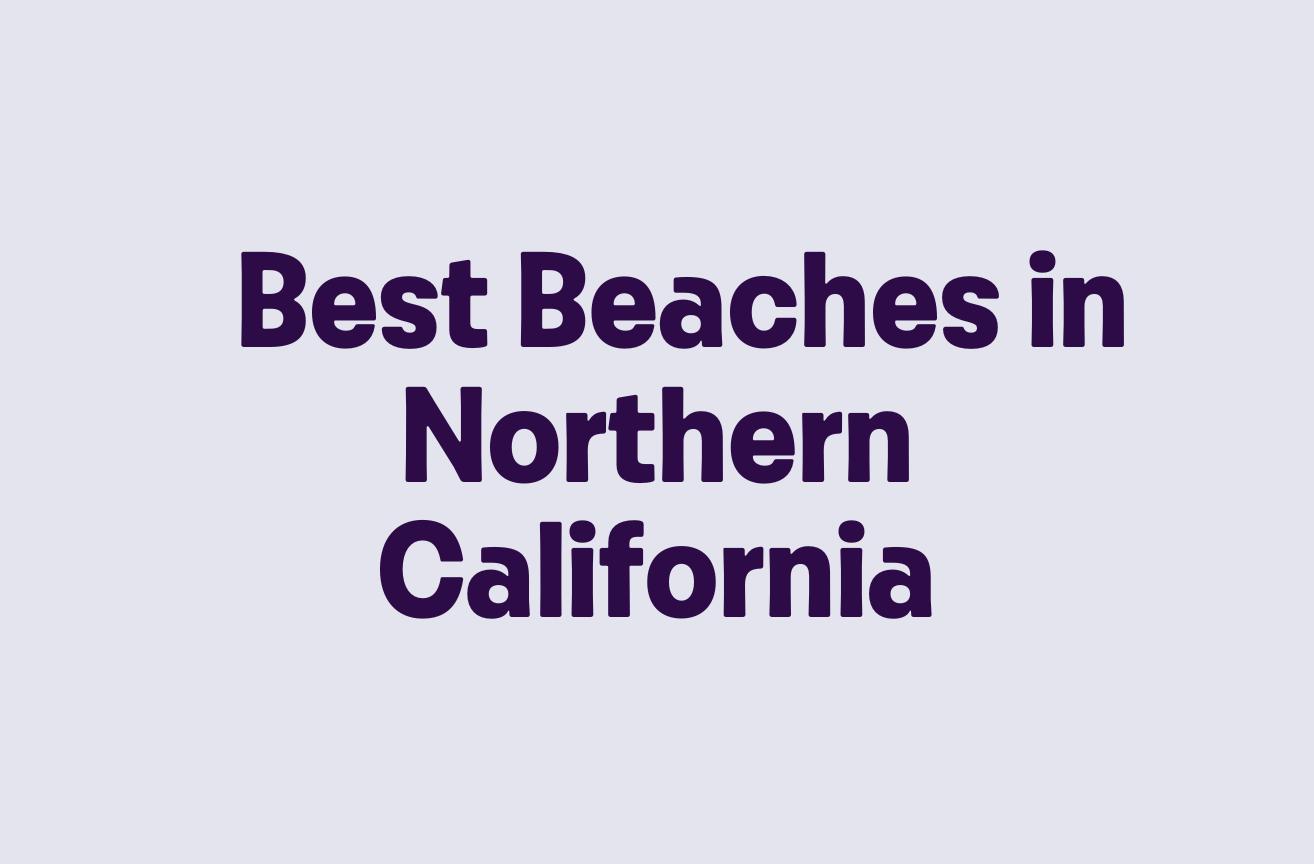 Best Beaches in Northern California