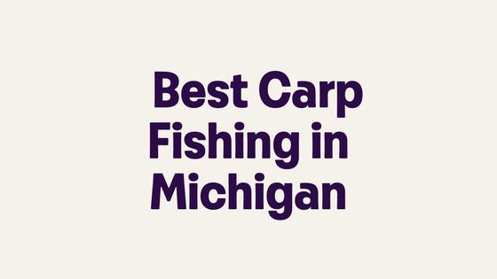 Best Carp Fishing in Michigan