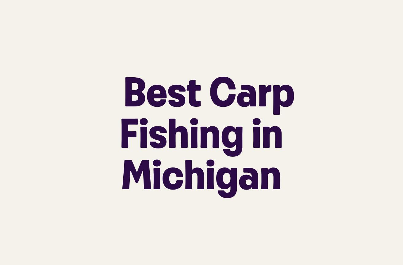 Best Carp Fishing in Michigan