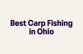 Best Carp Fishing in Ohio