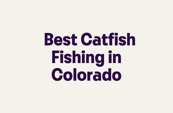 Best Catfish Fishing in Colorado