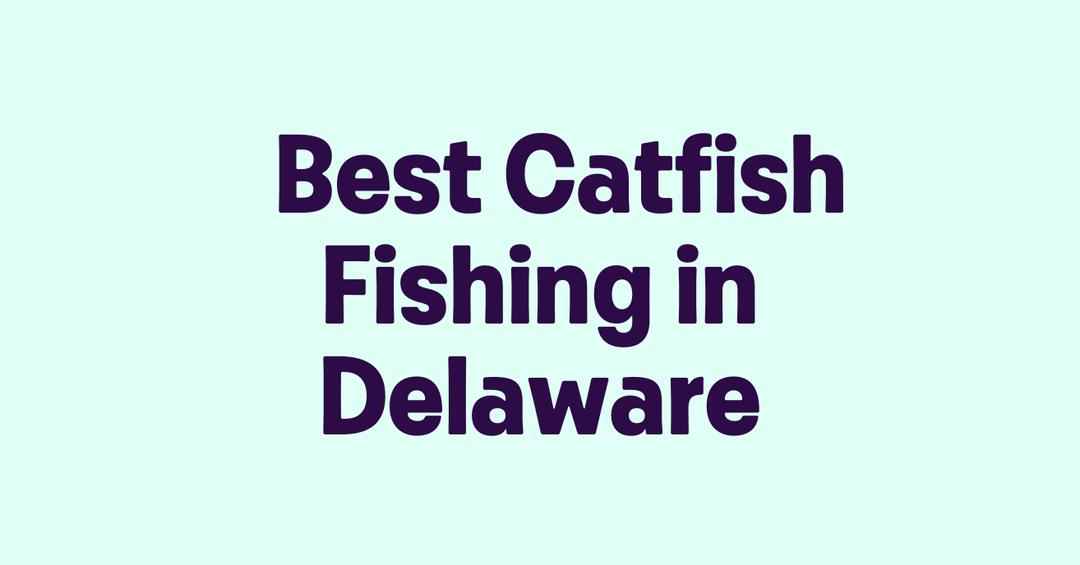 Best Catfish Fishing in Delaware