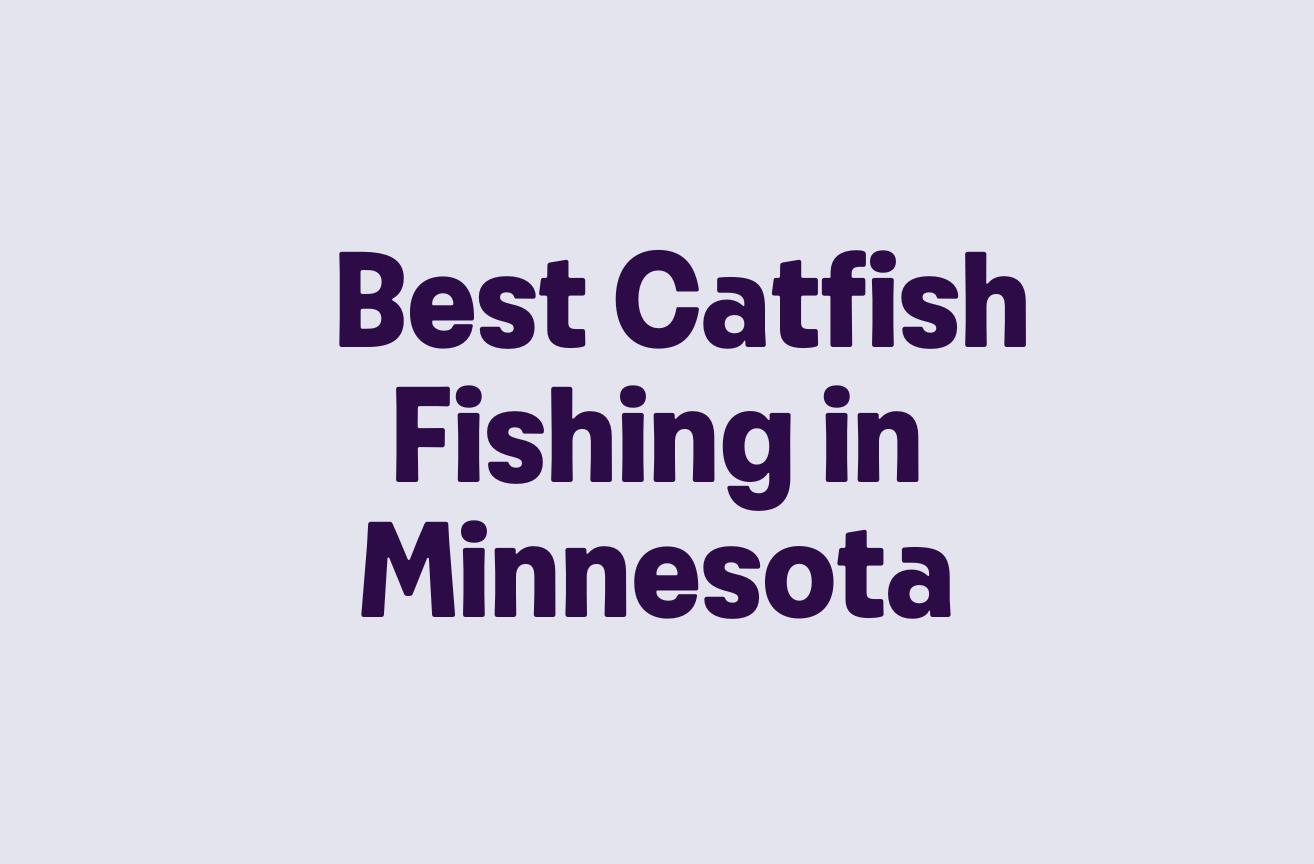 Best Catfish Fishing in Minnesota