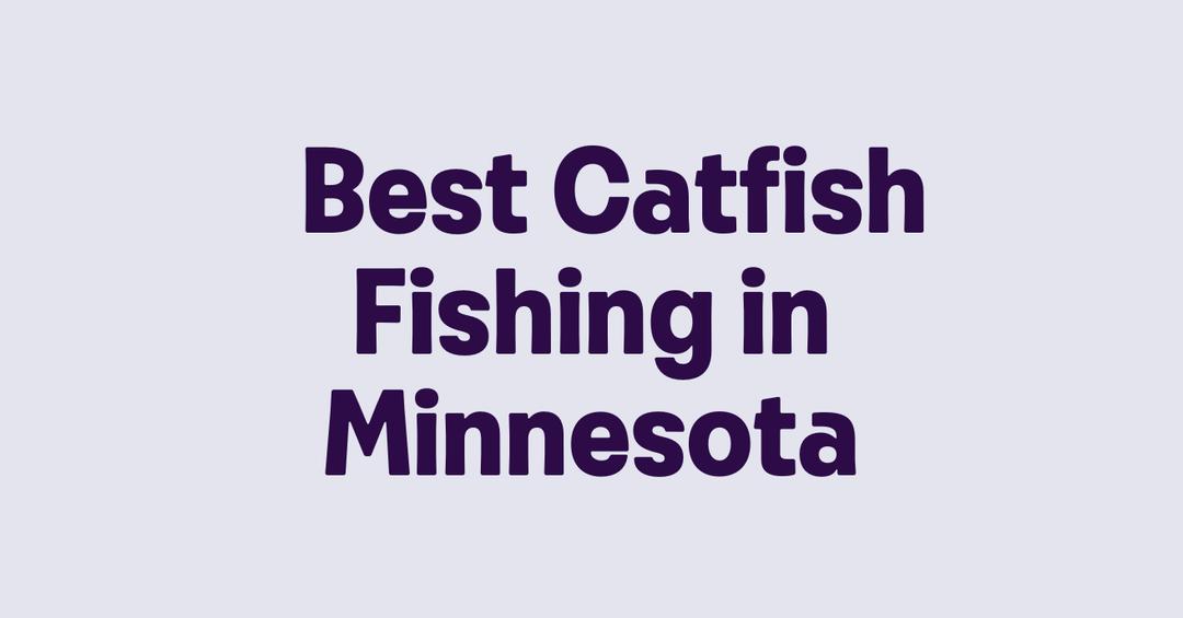 Best Catfish Fishing in Minnesota