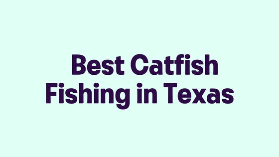 Best Catfish Fishing in Minnesota