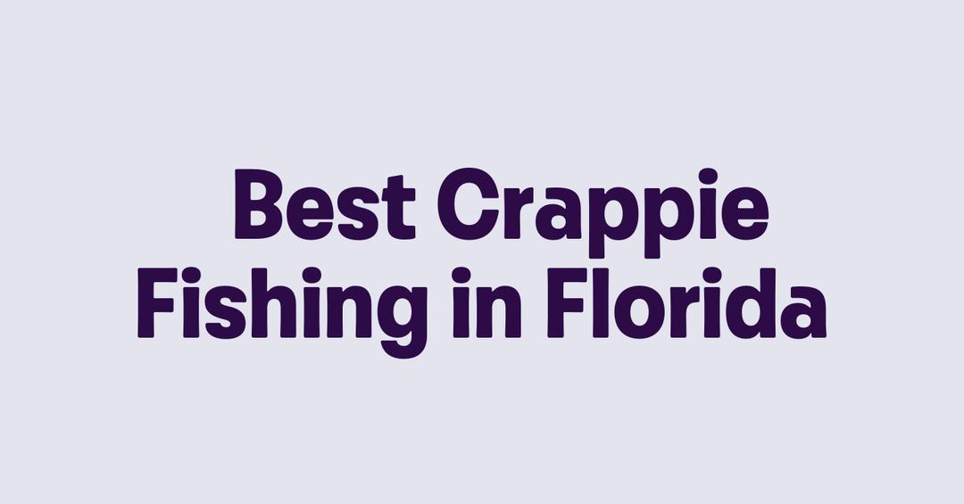 Best Crappie Fishing in Florida