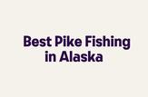 Best Pike Fishing in Alaska