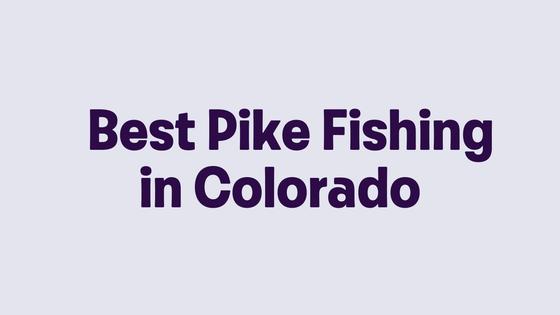 Best Pike Fishing in Colorado