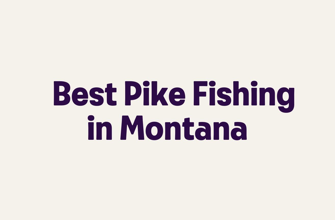 Best Pike Fishing in Montana