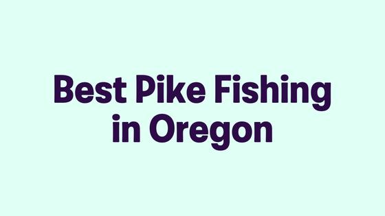 Best Pike Fishing in Oregon