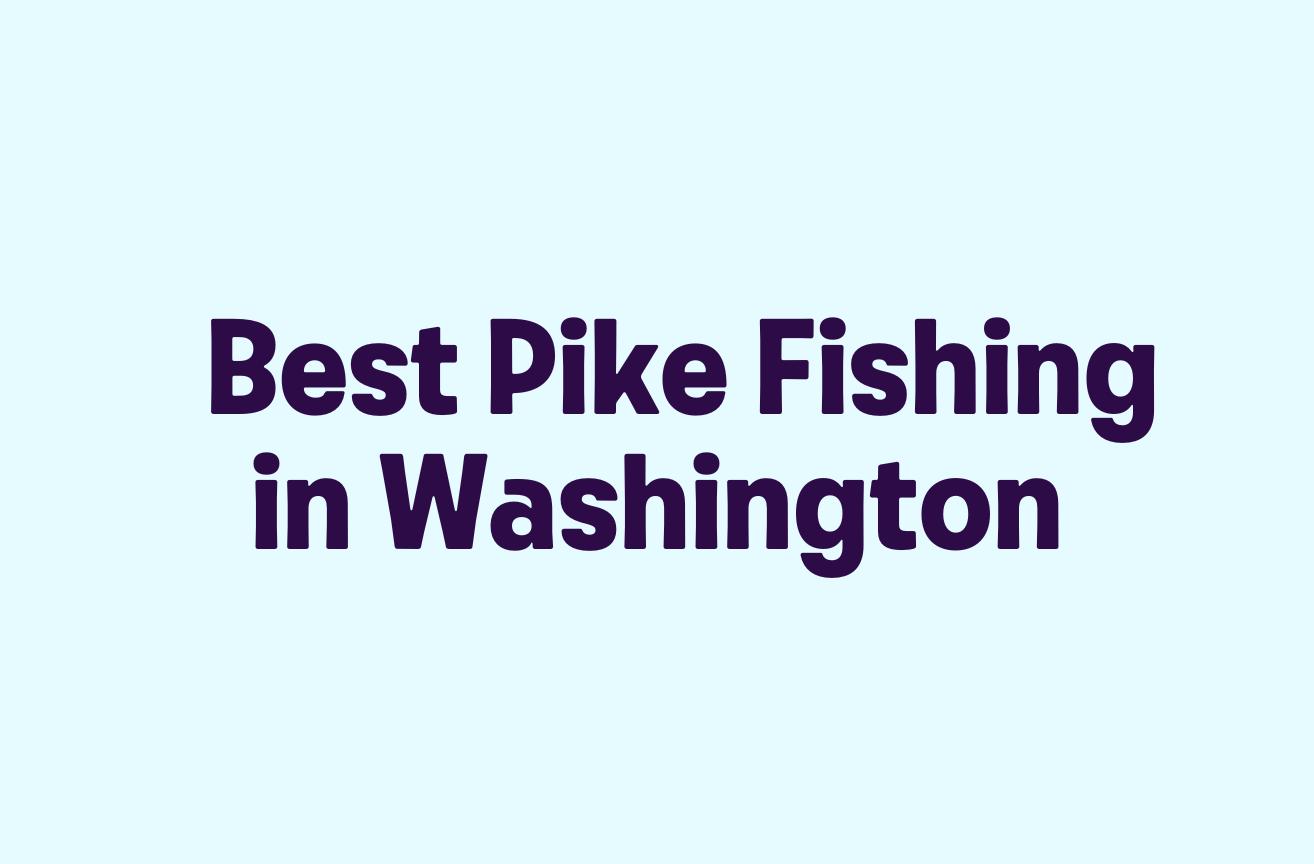 Best Pike Fishing in Washington