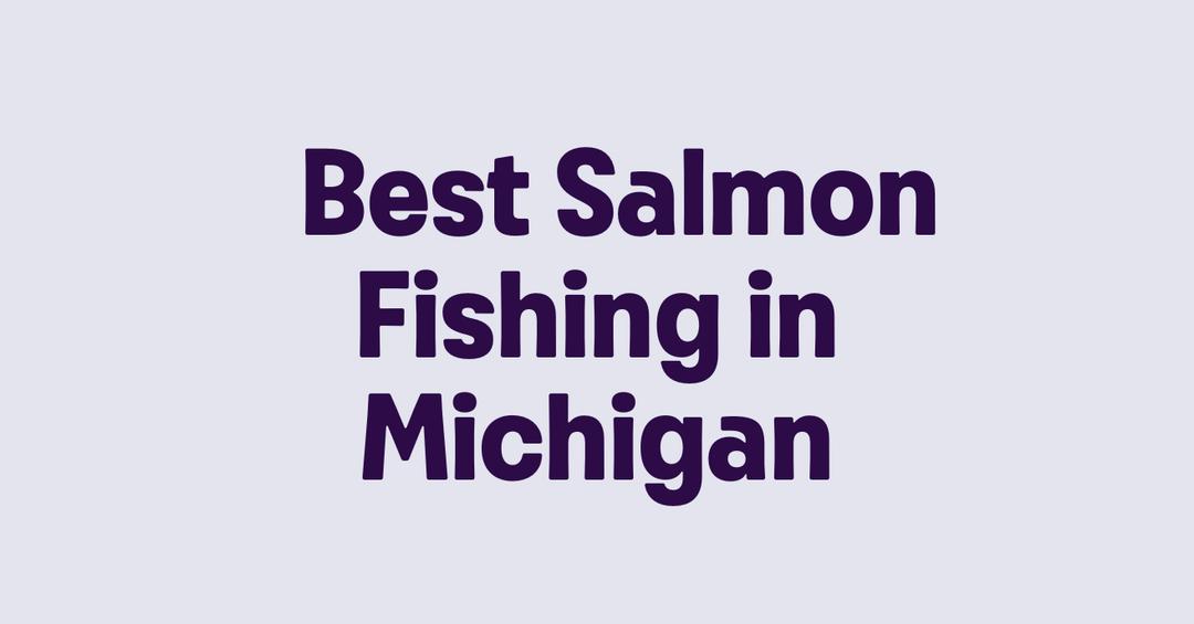 Best Salmon Fishing in Michigan