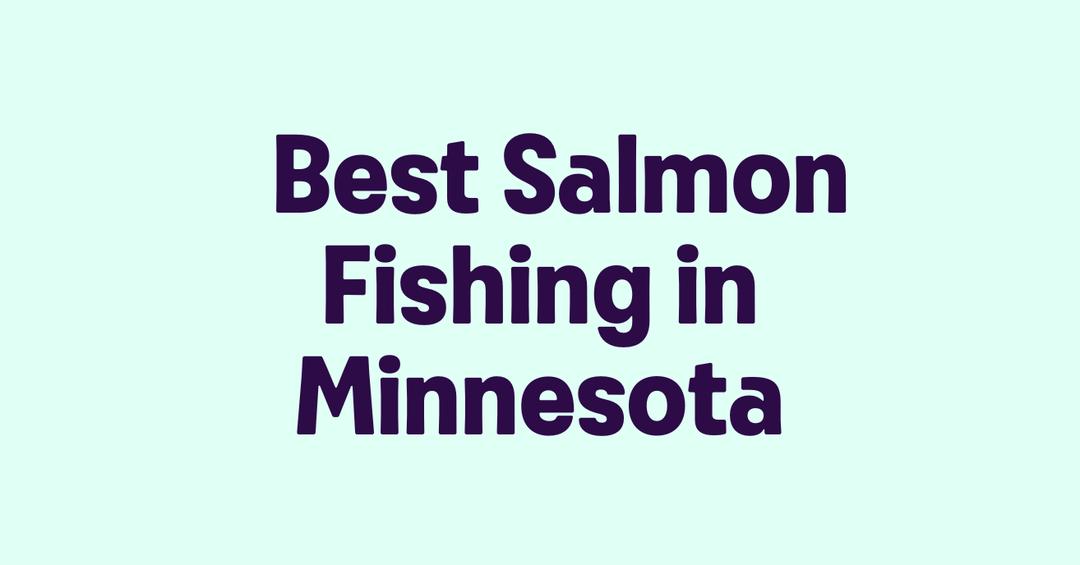 Best Salmon Fishing in Minnesota
