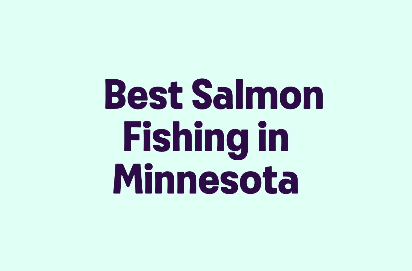 Best Salmon Fishing in Minnesota