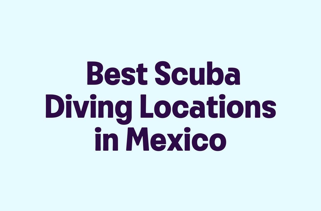 Best Scuba Diving Locations in Mexico
