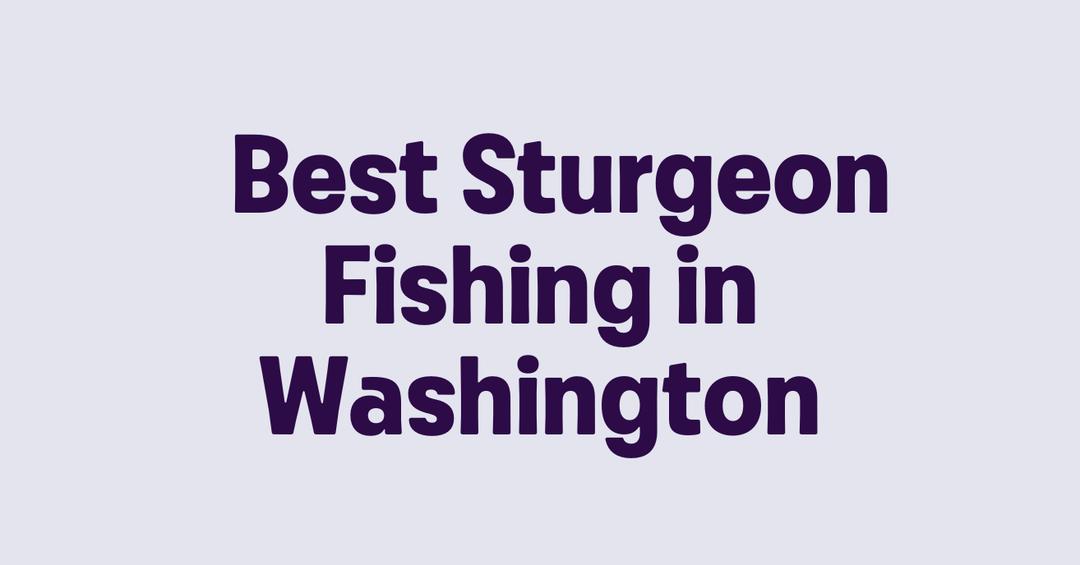 Best Sturgeon Fishing in Washington