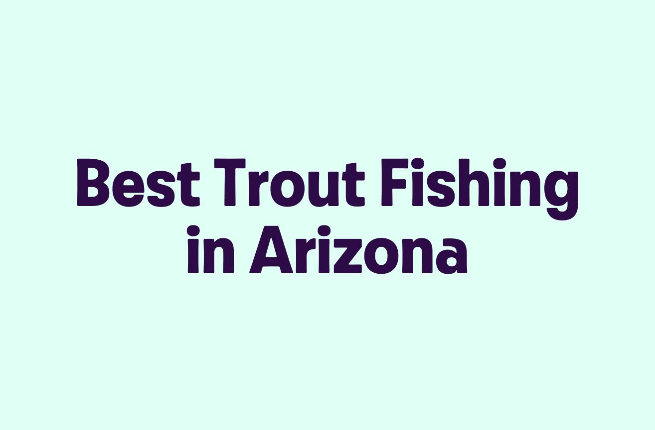 Best Trout Fishing in Arizona
