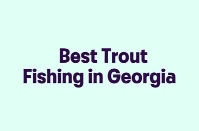 Best Trout Fishing in Georgia