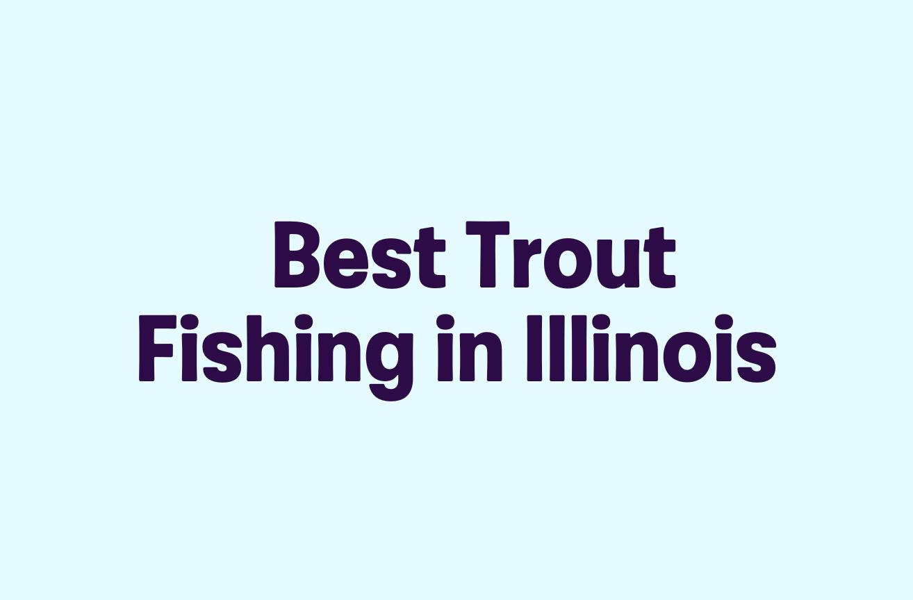 Best Trout Fishing in Illinois
