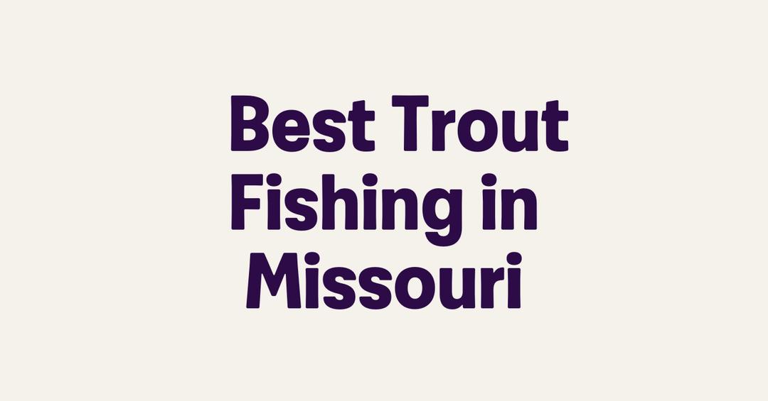 Best Trout Fishing in Missouri