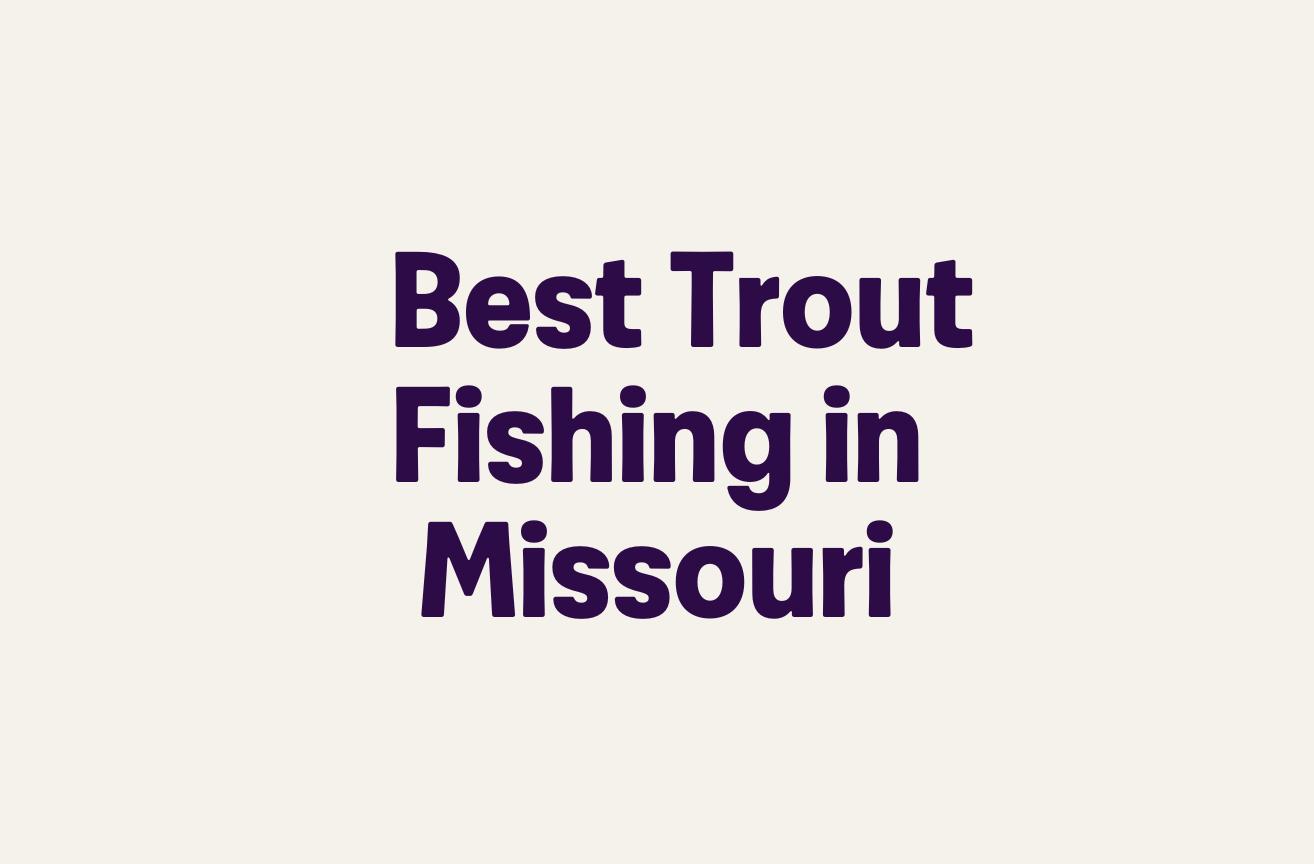 Best Trout Fishing in Missouri