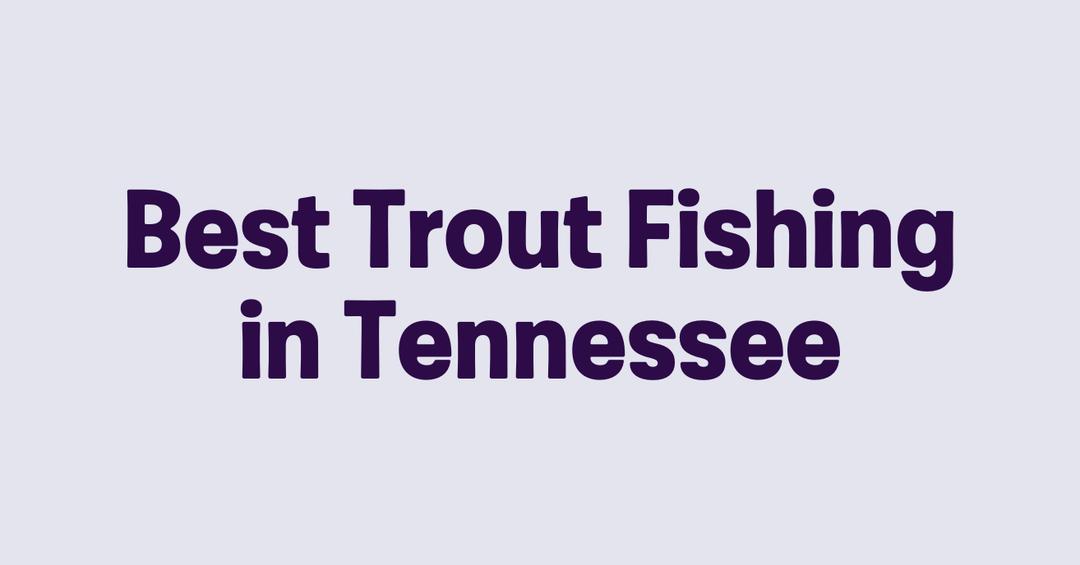 Best Trout Fishing in Tennessee