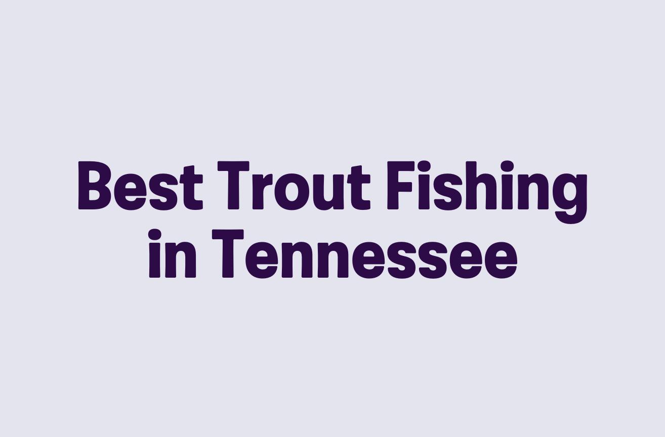 Best Trout Fishing in Tennessee