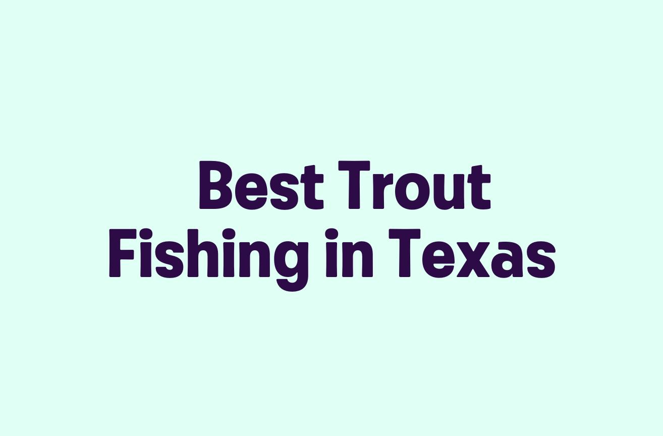 Best Trout Fishing in Texas