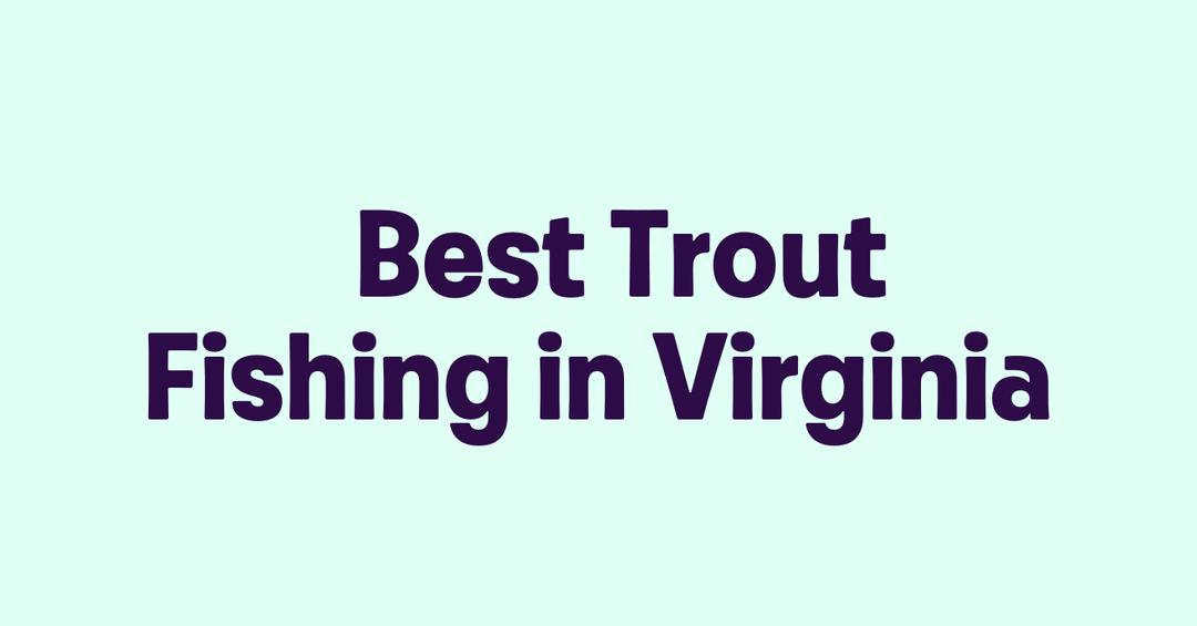 Best Trout Fishing in Virginia
