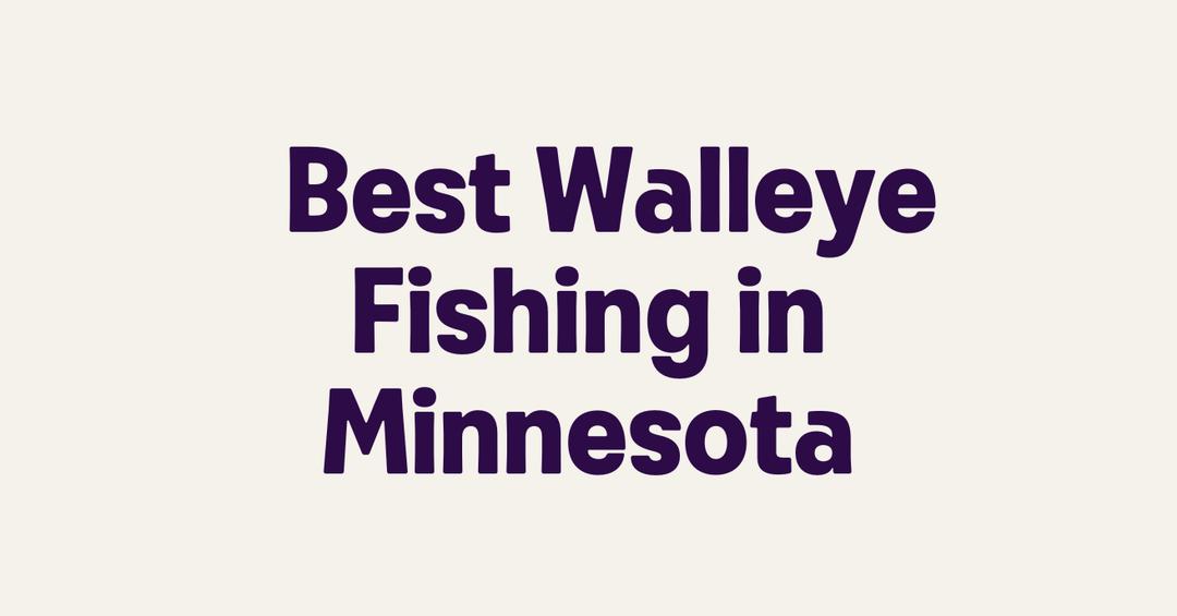Best Walleye Fishing in Minnesota