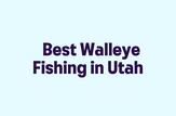 Best Walleye Fishing in Utah