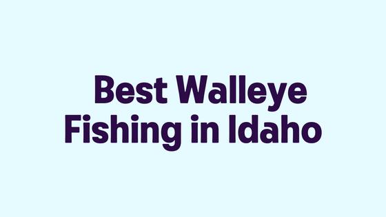 Best Walleye Fishing in South Dakota