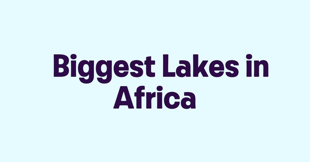 Africa lakes company
