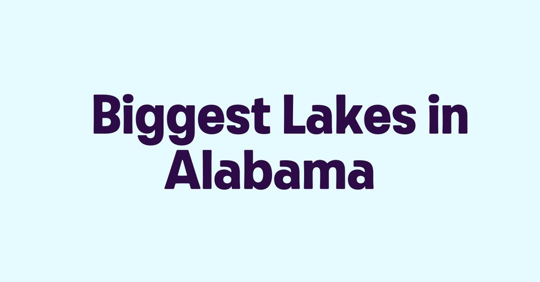 Biggest Lakes in Alabama