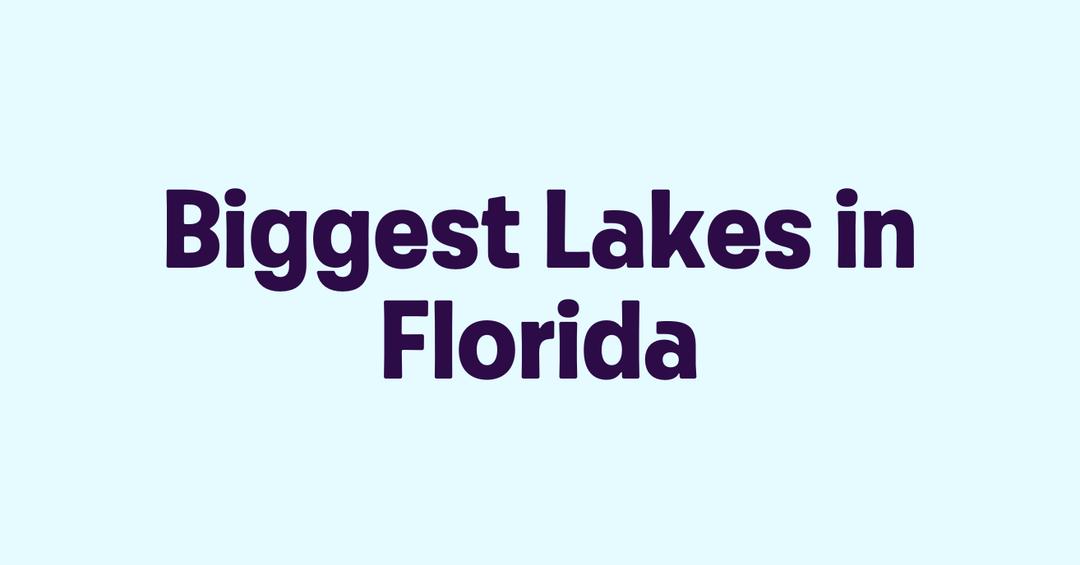 Biggest Lakes in Florida