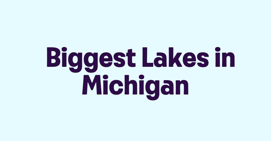 Biggest Lakes in Michigan