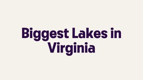 Biggest Lakes in Virginia