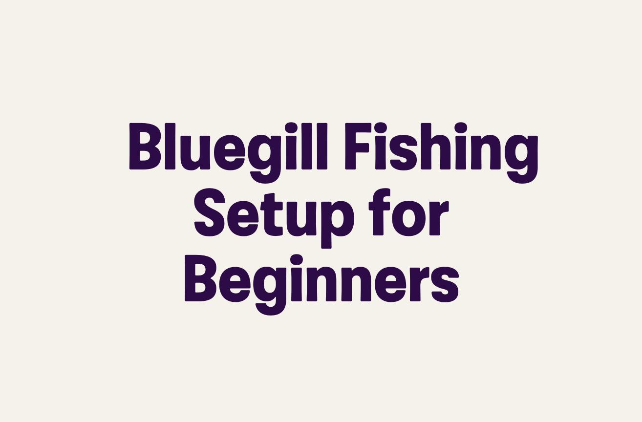Bluegill Fishing Setup for Beginners
