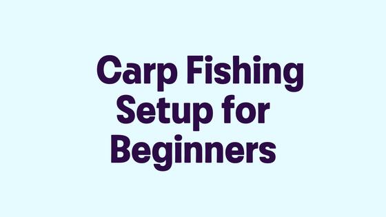 Carp Fishing Setup for Beginners