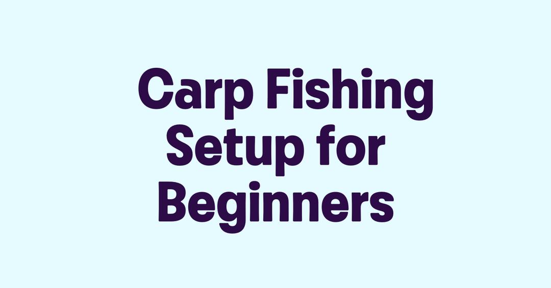 Carp Fishing Setup for Beginners