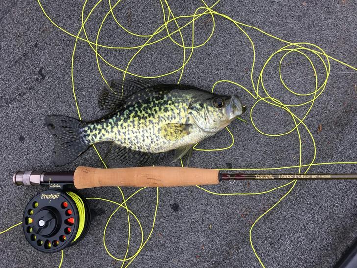 The Ultimate Guide to Crappie Fishing