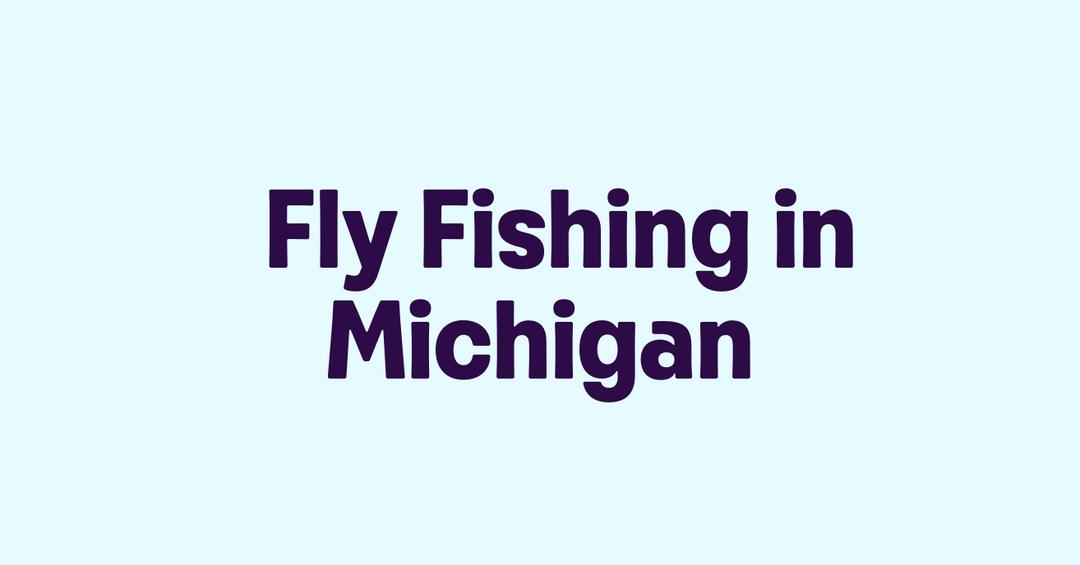 Fly Fishing in Michigan