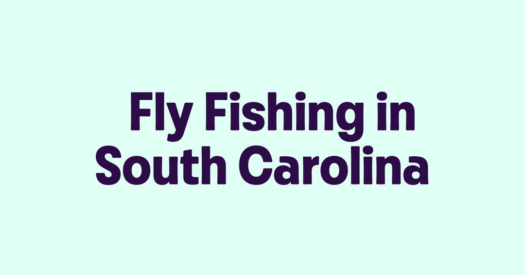 Fly Fishing in South Carolina