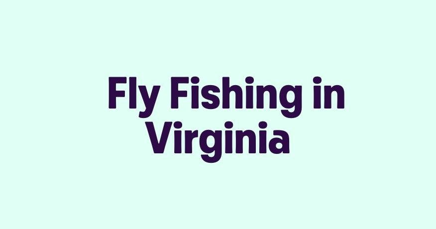 Fly Fishing in Virginia