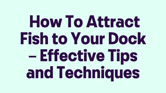 How To Attract Fish to Your Dock – Effective Tips and Techniques