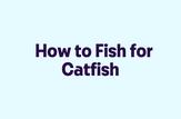 How to Fish for Catfish